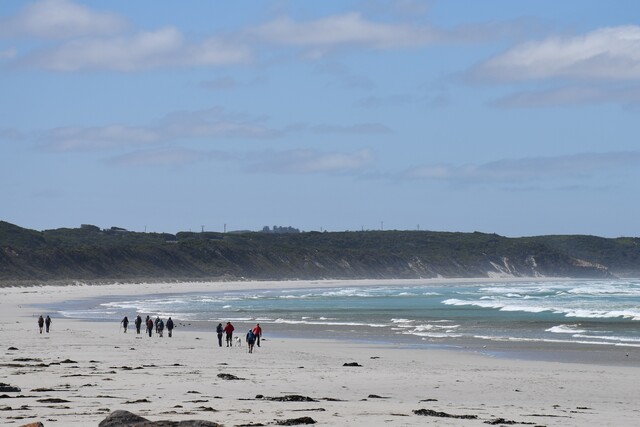 Supported walk thriving in 30th year | Portland Observer